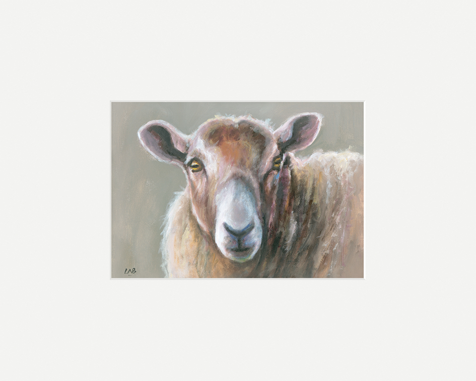 Louise Brown (Looking Sheepish) Art Print | The Art Group