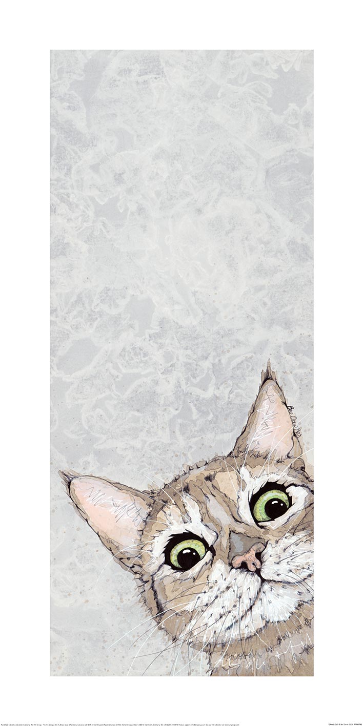 Bev Davies (Cheeky Cat) Framed Canvas Print | The Art Group