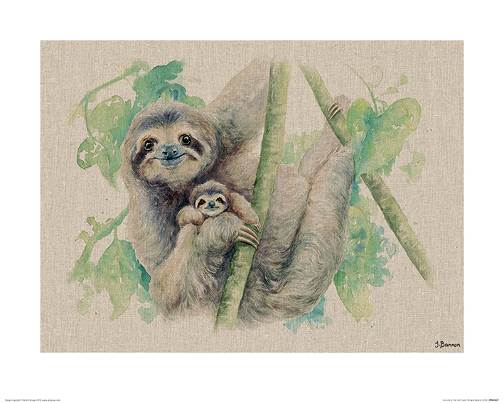 Jane Bannon (Live Life in the Sloth Lane) Canvas Print | The Art Group