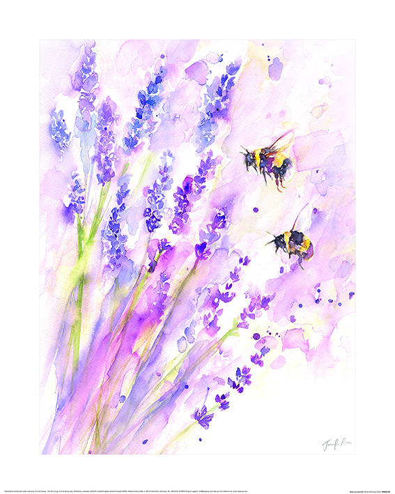 Jennifer Rose (Bees & Lavender) Canvas Print | The Art Group