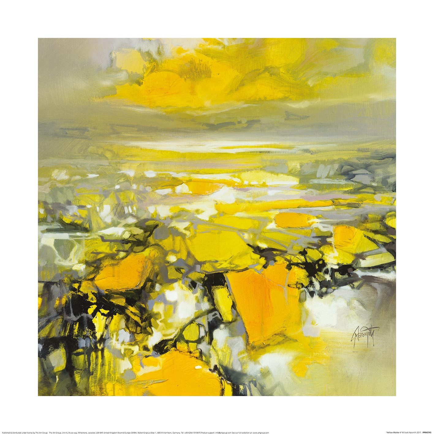 Scott Naismith (Yellow Matter 2) Mounted Print | The Art Group