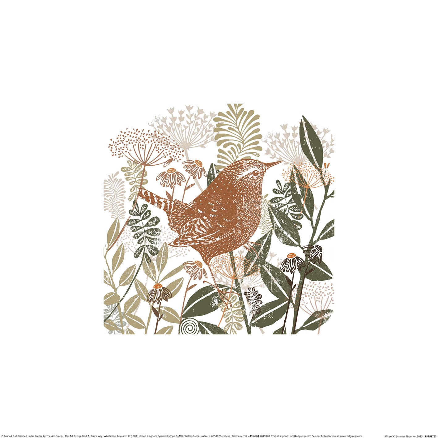Summer Thornton (Woodland Nature - Wren) Art Print | The Art Group