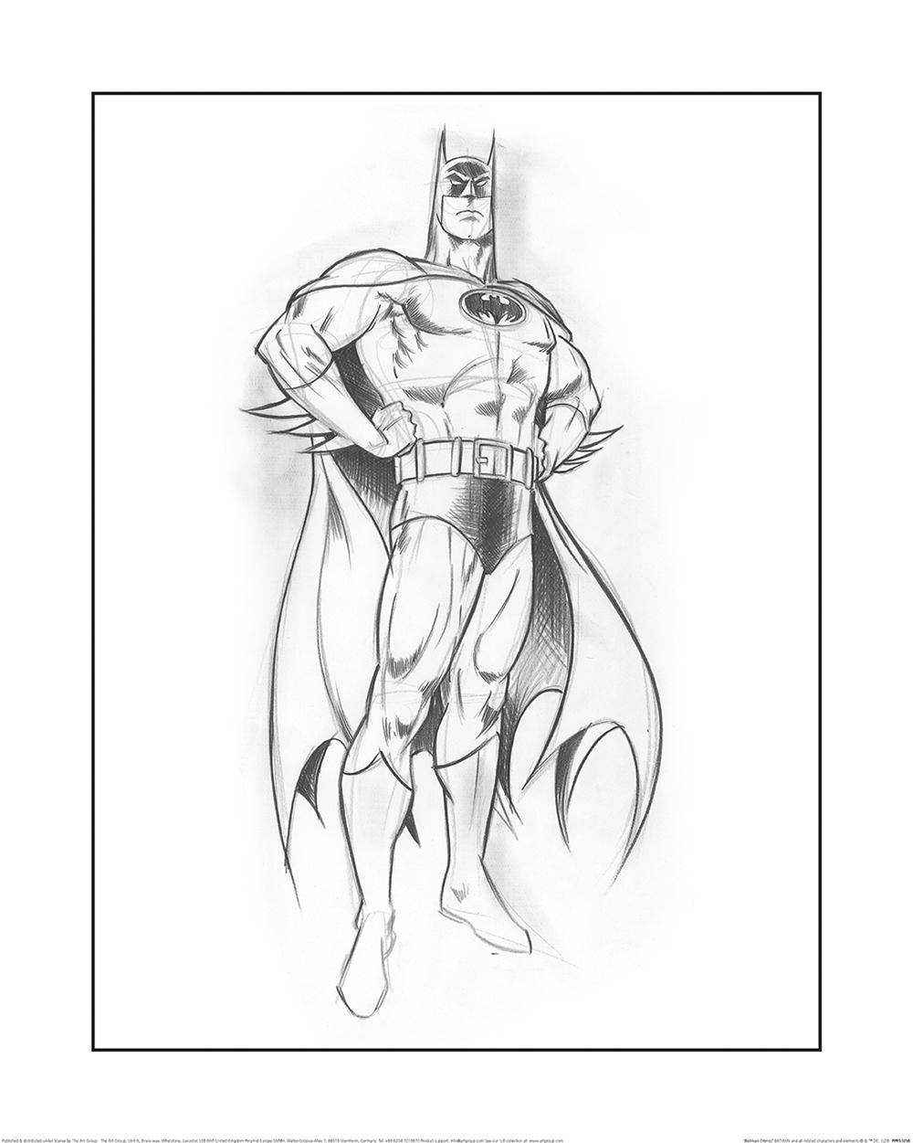 Batman (Hero) Art Print | The Art Group