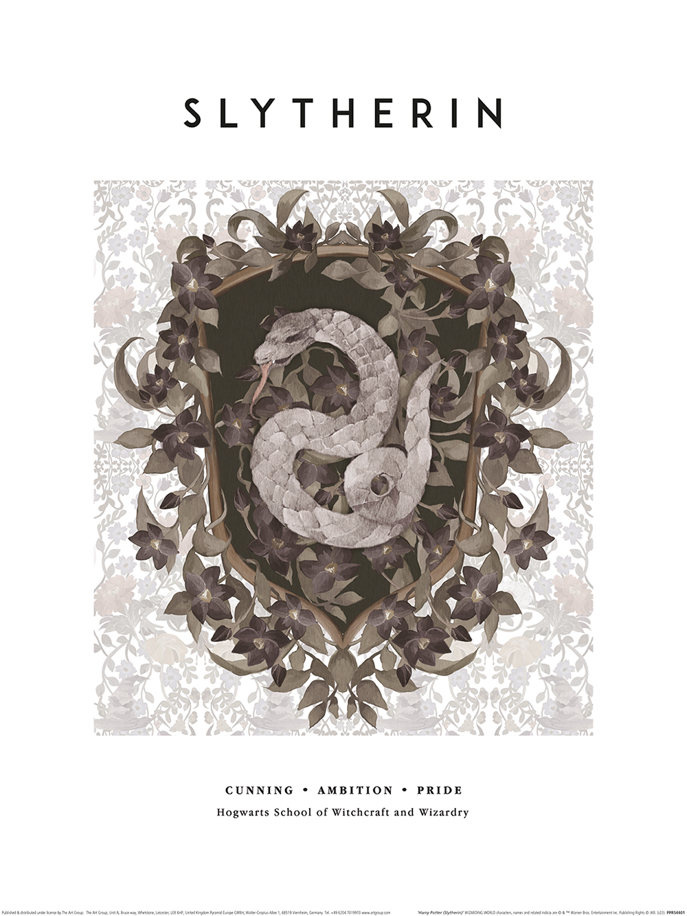 Harry Potter (Slytherin) Art Print | The Art Group
