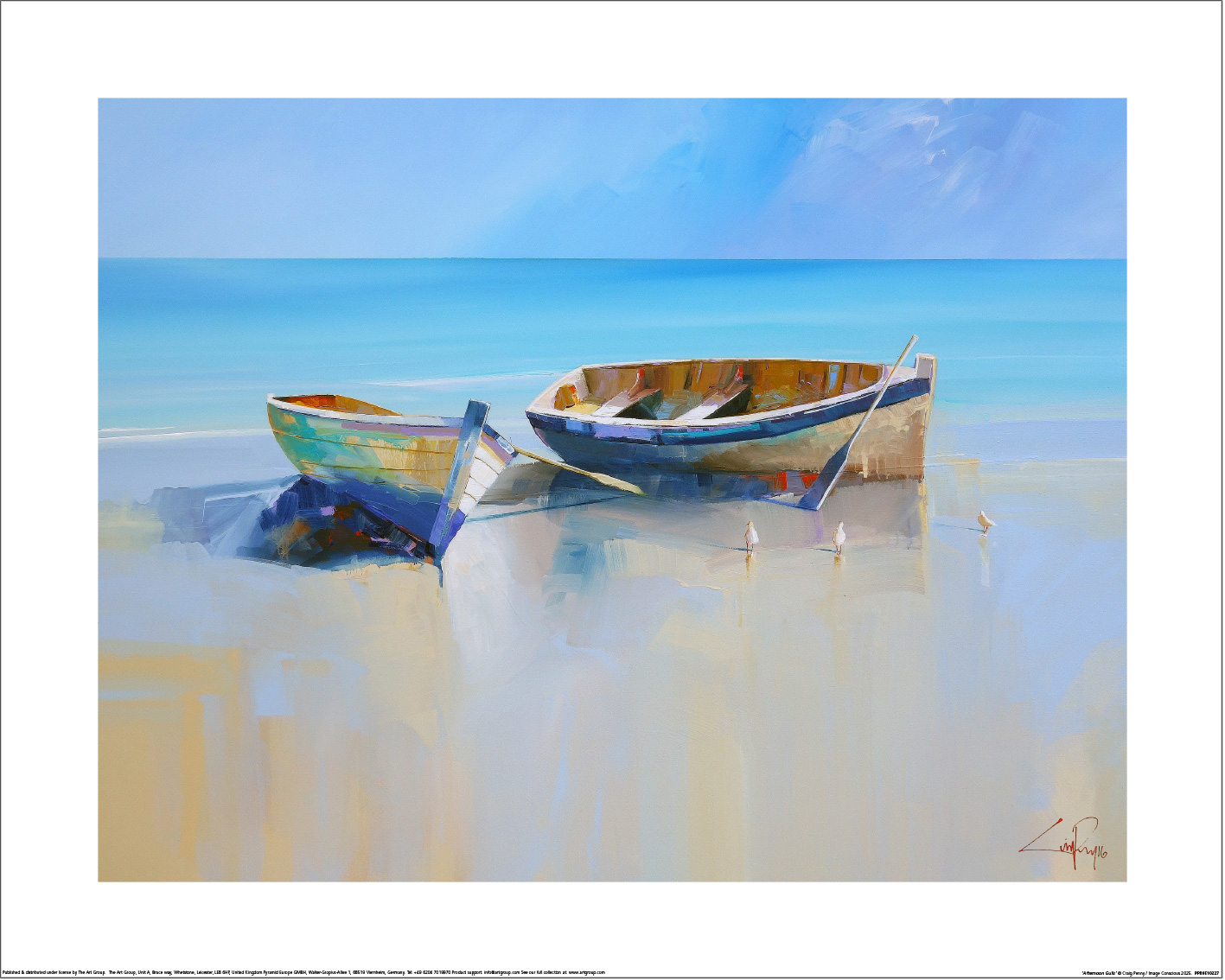 Craig Penny (Afternoon Gulls) Art Print | The Art Group