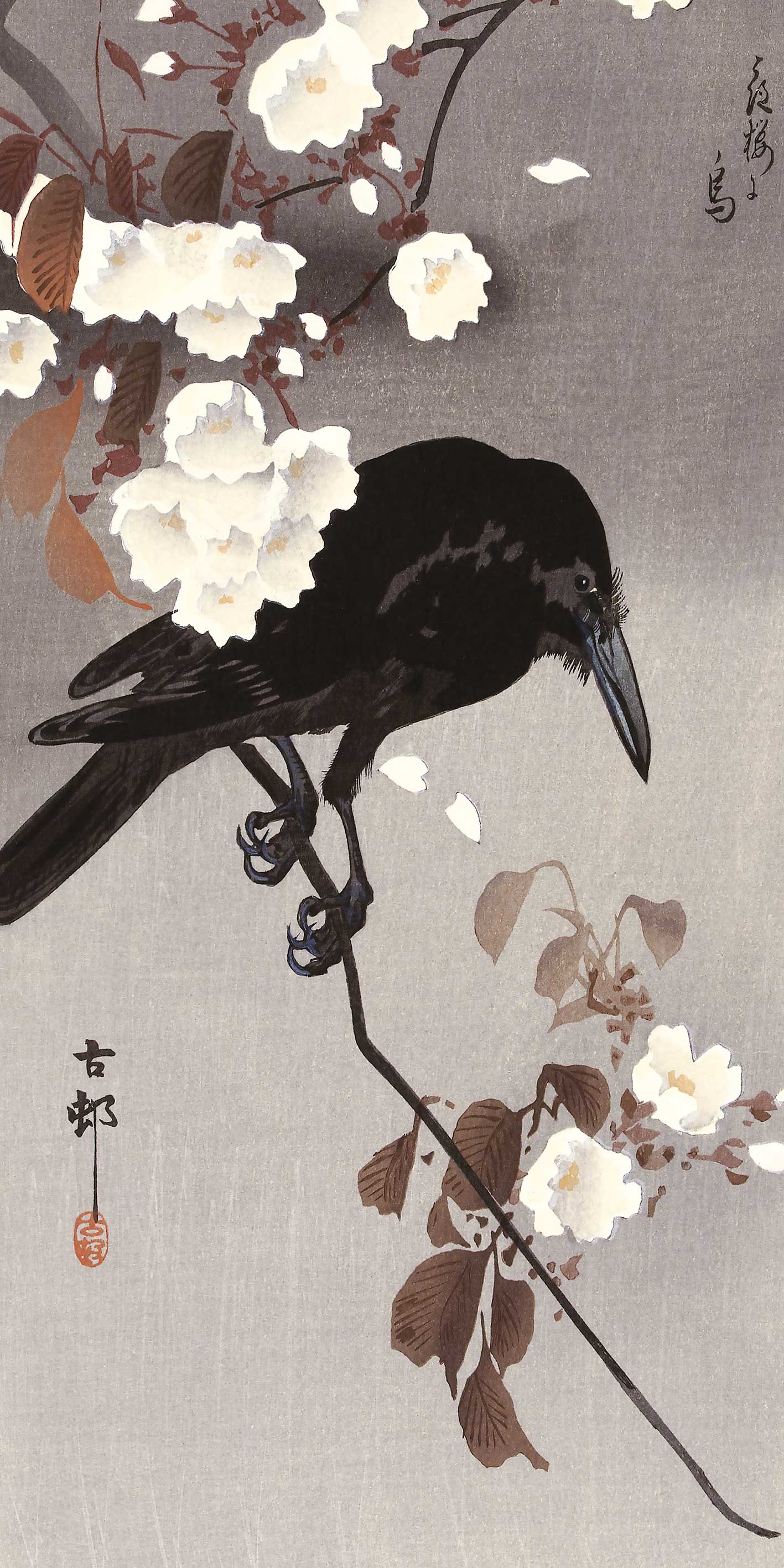 Ohara Koson (Crow on a Cherry Branch) Canvas Print | The Art Group