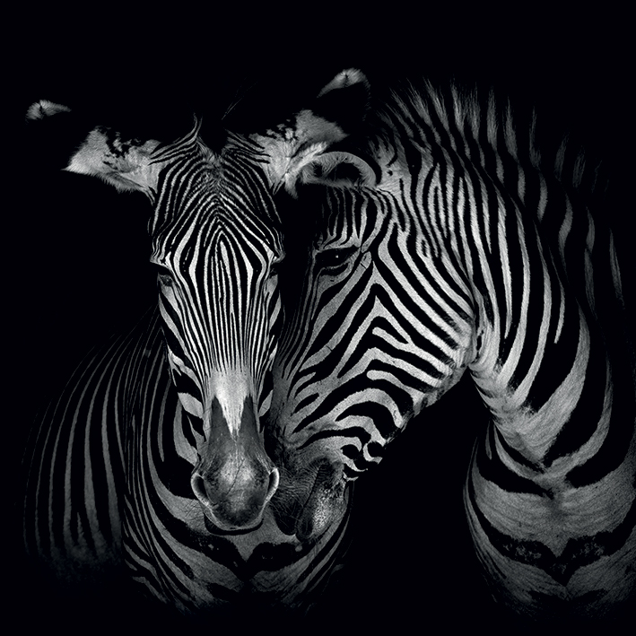 Marina Cano (Secrets) Mounted Print | The Art Group