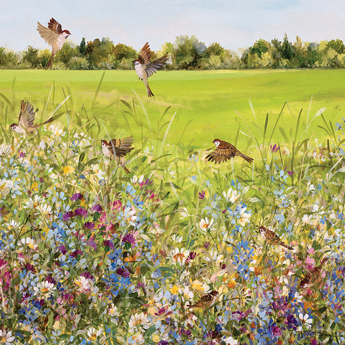Fletcher Prentice (Open Meadow) Canvas Print | The Art Group